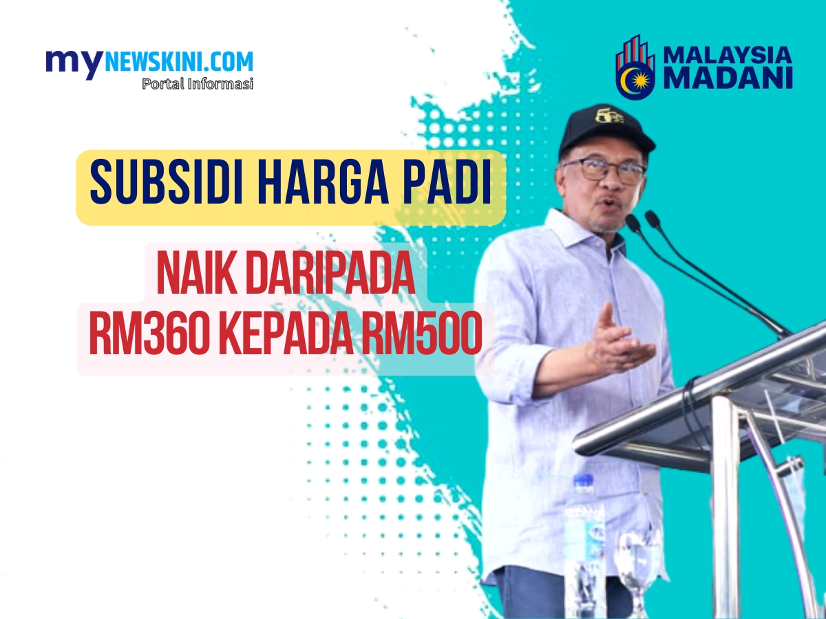 Kadar subsidi harga padi ditambah kepada RM500 setiap tan mulai esok – PM | Mynewskini 2024