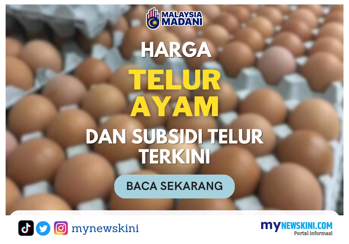 Harga Telur Ayam Dan Subsidi Telur Terkini | Mynewskini 2024